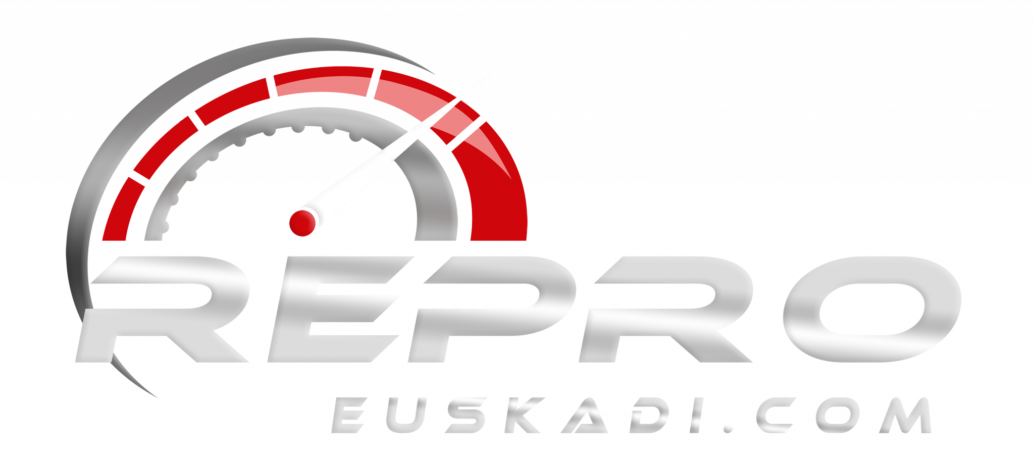 REPRO EUSKADI - REPROGRAMACION DE CENTRALITAS